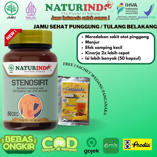 Jual Obat Herbal Syaraf Saraf Kejepit Obat nyeri Sendi Otot STENOSIFIT ...