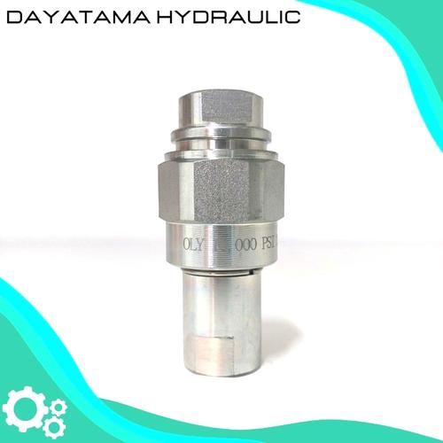Jual 1/4" INCH HYDRAULIC QUICK COUPLER 700 BAR / 10.000 PSI HIGH ...