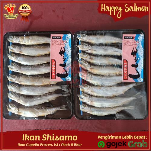 Jual Ikan Capelin Shisamo Segar 1 Pack Isi 8 Ekor Premium - Jakarta ...