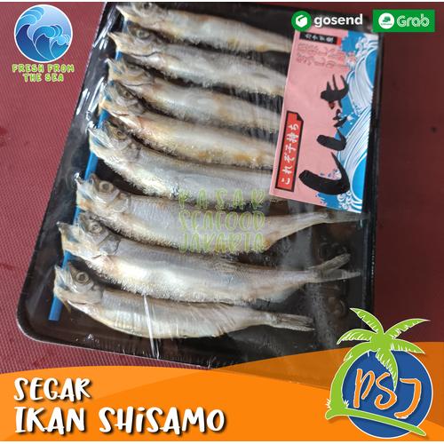 Jual Ikan Shisamo Capelin 1pack Isi 8 Ekor - Ikan Capelin Grade A ...