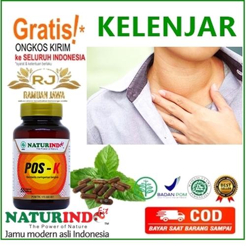 Jual POS K JAMU OBAT KELENJAR TIROID HIPERTIROID - Jakarta Utara ...