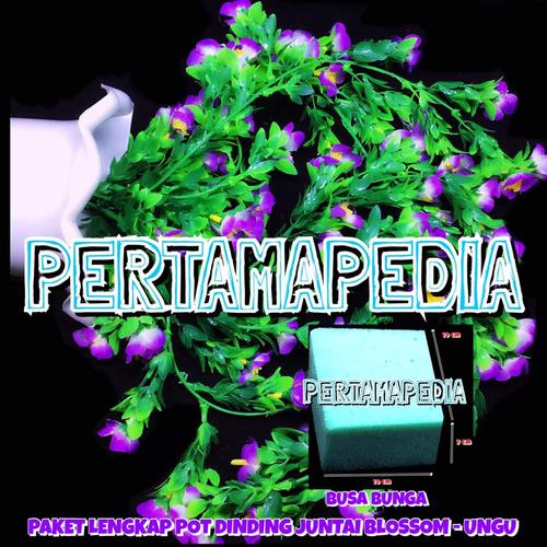 Jual Bunga Plastik/ Daun Rambat/ Rumput Plastik/ Floral Foam/ Blossom ...