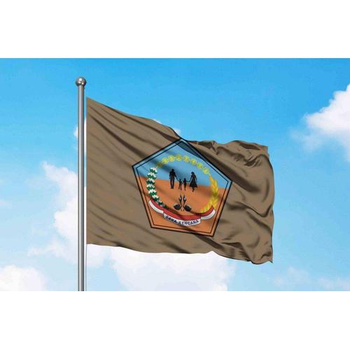 Jual Bendera Pramuka Saka Kencana Berkualitas berbagai ukuran - 60cm x ...