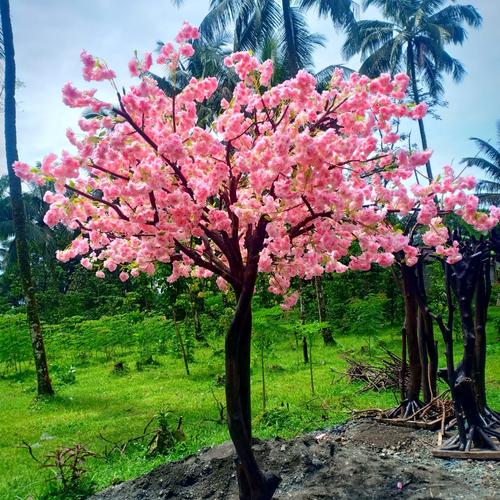 Jual POHON CERRY BLOSSOM SAKURA IMLEK DEKORASI ARTIFICIAL - Kab ...