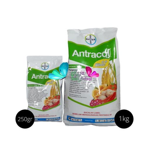Jual Ori Fungisida Antracol 70 Wp 1 Kg Obat Tanaman Jamur Untuk Anggrek ...