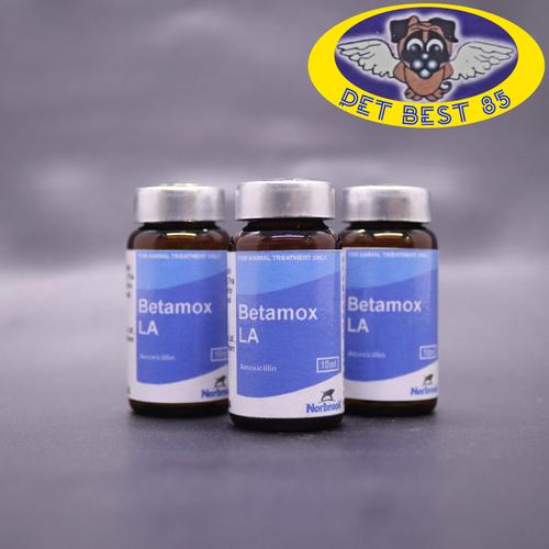 Jual Betamox LA Amoxicillin 10ml Injection Suspension Antimicroba Hewan ...