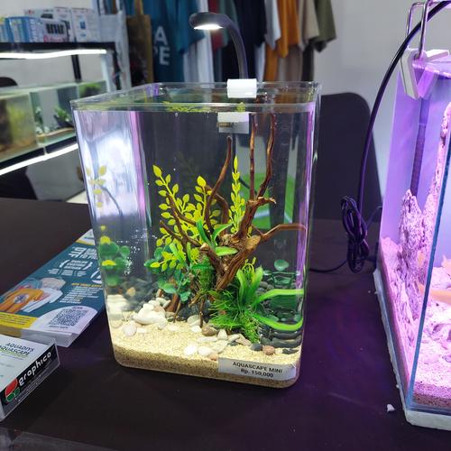 Jual Lampu USB soliter cupang - Kab. Bantul - AQUADIYS AQUASCAPE ...
