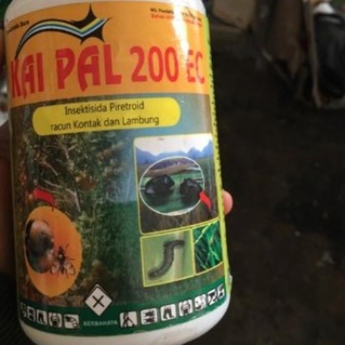 Jual Kai Pal 200EC 200ml insektisida piretroid racun kontak dan lambung ...