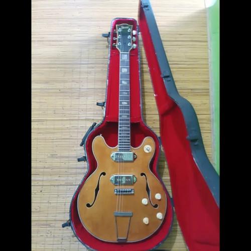 Jual Greco Semi Hollow Body - Kab. Cilacap - Bigsby 13 | Tokopedia