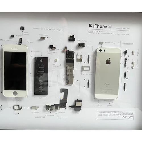 Jual APPLE IPHONE SE GEN 1 ARTWORK ORIGINAL COMPONENT / DEKORASI ...