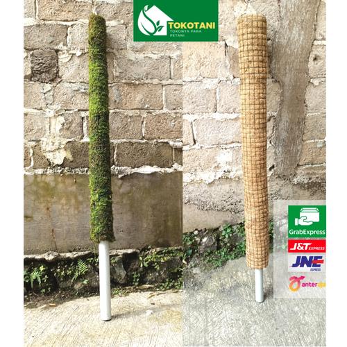Jual turus tiang penyangga tanaman rambat panjang 1 meter - turus jumbo ...