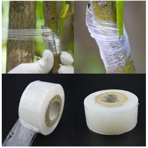 Jual GRAFTING TAPE PLASTIK OKULASI SAMBUNG PUCUK ENTEN UKURAN 3 CM ...