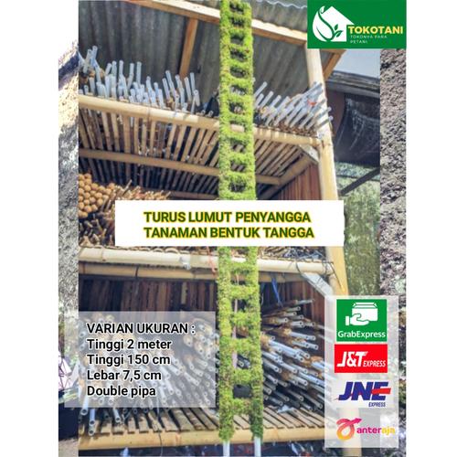 Jual turus lumut tiang penyangga tanaman tinggi 150cm - 200cm bentuk ...