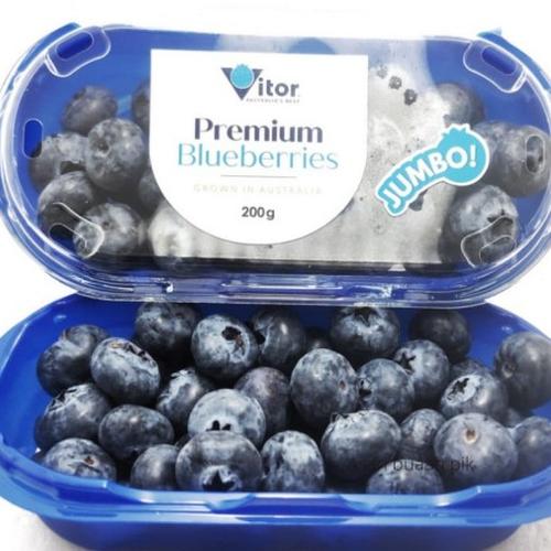 Jual Buah Blueberry fresh no strawberry cranberry raspberry betty - REG ...