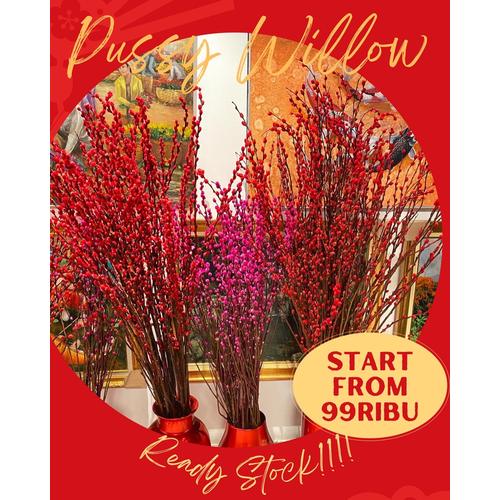 Jual Pussy Willow Bunga Segar Murah Flower Bunga Potong Segar Tangerang ...
