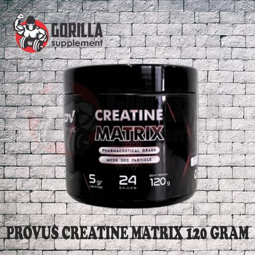 Promo PROVUS Creatine Matrix 120 Gram 24 Serving PV MATRIX MINI - Kab ...