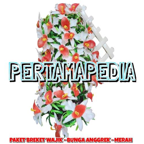 Jual Bunga Plastik/Rumput Plastik/Daun Rambat Plastik/Floral Foam ...