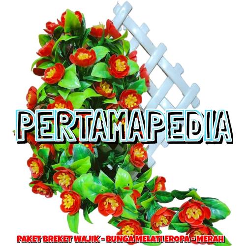 Jual Paket Bunga Plastik/ Daun Rambat Plastik / Rumput Plastik - Merah ...