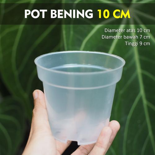 Jual Pot Bening Plastik 10cm - Pot Bening Transparan - Pot Bening Kecil ...