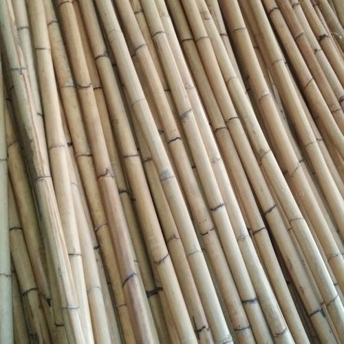 Jual Toya Rotan Kulit 2Cm Panjang 2 meter Harga Perpcs Stok Ready ...