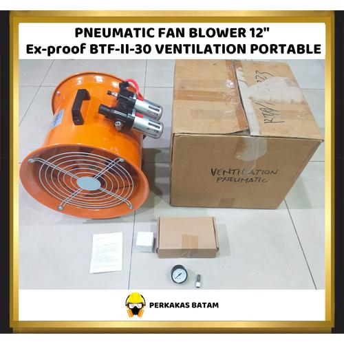 Jual PNEUMATIC FAN BLOWER 12" Ex-proof BTF-II-30 VENTILATION PORTABLE ...