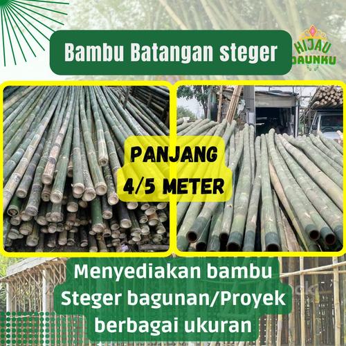 Jual Bambu Steger Bangunan Dan Proyek Cor Diameter 6-10cm Minimal Order ...