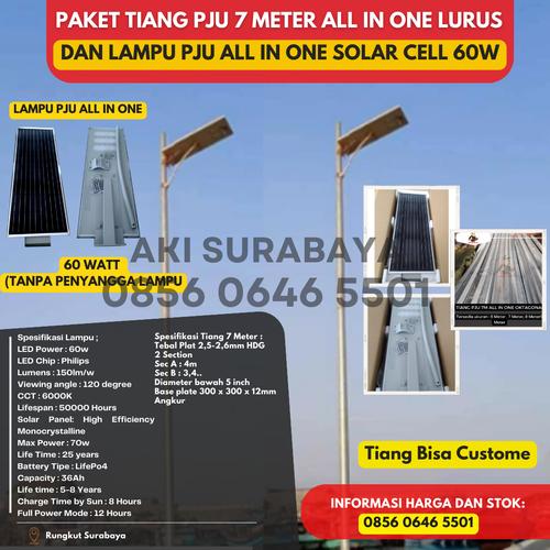 Jual PAKET TIANG PJU 7 METER ALL IN ONE DAN LAMPU PJU AIO 60 WATT ...