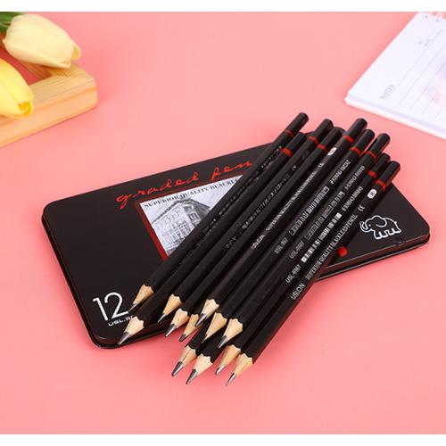 Jual Pensil Gambar Sketsa Profesional Set Isi 12 Pcs 2H-8B - Graded ...