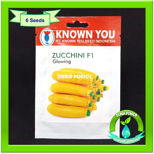Jual Benih ZUCCHINI F1 Kuning Hibrida GLOWING Known You Seed Kemasan ...