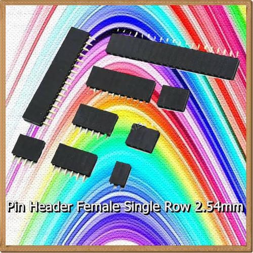Jual Pin Header Female Single Row 2.54mm - 1x6 - Kota Surabaya - 2R ...