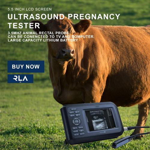 Jual Alat Check Kehamilan Sapi - USG Ultrasound - Kebuntingan Hewan ...