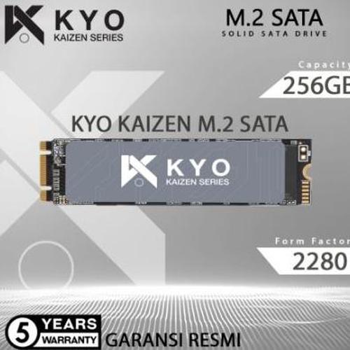 Jual Ssd M2 Sata / M.2 Sata / M2Sata 256Gb Kaizen Resmi (Garansi 5 ...