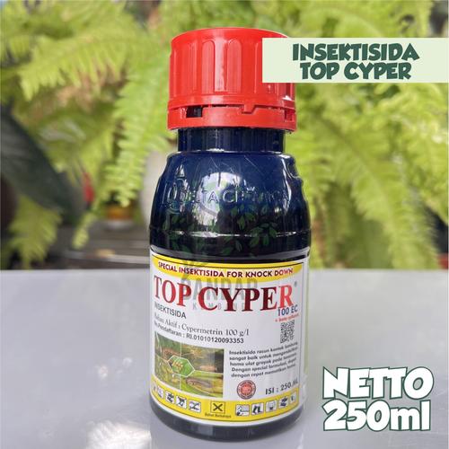 Jual INSEKTISIDA TOP CYPER 100EC 250ML PENGHILANG HAMA TANAMAN - Kota ...