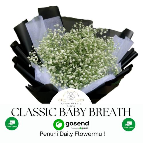 Jual classic baby breath | bucket | wisuda | birth day | special moment ...