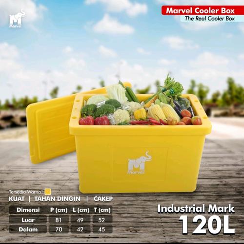 Jual Cooler Box 120 L Kotak Pendingin Cool Ice Box Penyimpan Es Marvel ...