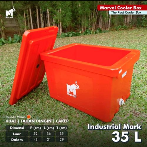 Jual Cooler Box 35 Liter Kotak Pendingin Cool Ice Box Penyimpan Es ...