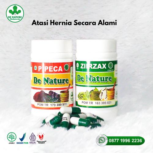 Jual Paket Obat Hernia atau Turun Berok Pada Laki Laki - Jakarta Timur ...