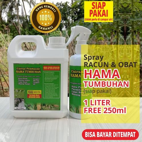 Jual PEMBASMI HAMA TANAMAN 1 Liter (FREE 250ml) | Kutu Putih - Jakarta ...