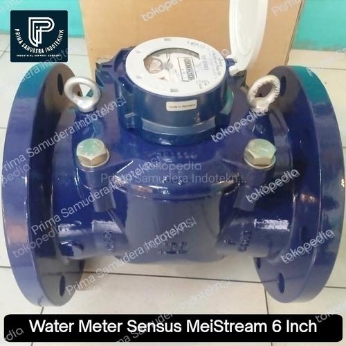 Jual SENSUS WATER METER type MeiStream 6 Inch DN150 (150mm) - Jakarta ...