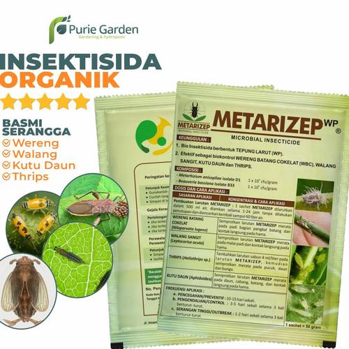 Jual Insektisida Organik Basmi Hama Serangga Metarizep 50 Gram ...