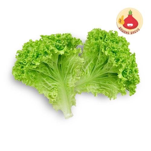 Jual Slada Kriting/Slada Lalap/Daun Slada 250gr - Bawangbagus - Kota ...