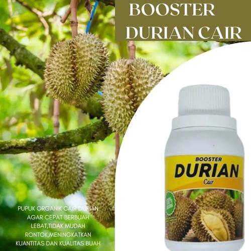 Jual Booster Durian 100 ml - Pupuk Durian Booster - Durian Booster Cair - Kota Surabaya ...