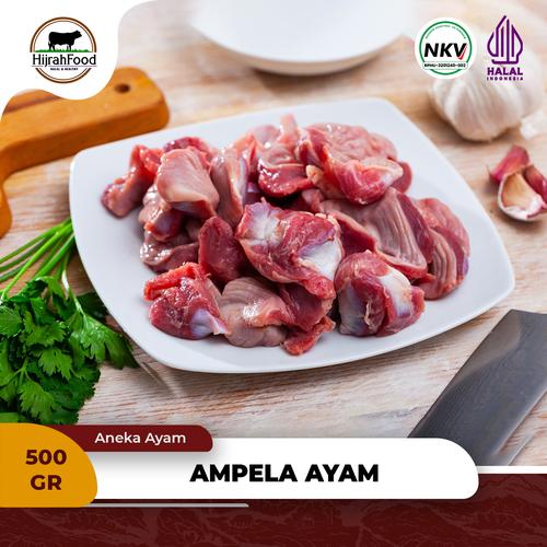 Promo Ampela Ayam Beku | Chicken Gizzard Fresh Frozen - 500 gram ...