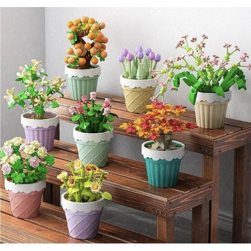 Jual Sembo Block Florist Potted Flowers Florist Bunga Pot Brick ...