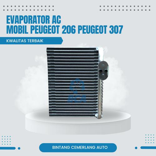 Jual EVAPORATOR AC MOBIL PEUGEOT 206 - Kab. Tangerang - TUKANG AC MOBIL ...