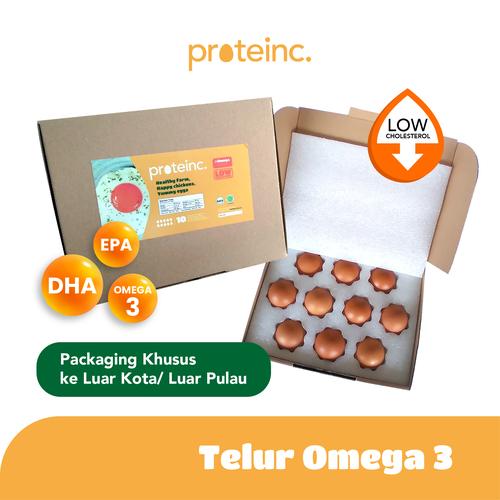 Jual Proteinc. Fresh Egg Telur Ayam Negeri Omega 3 (Packaging Khusus ...