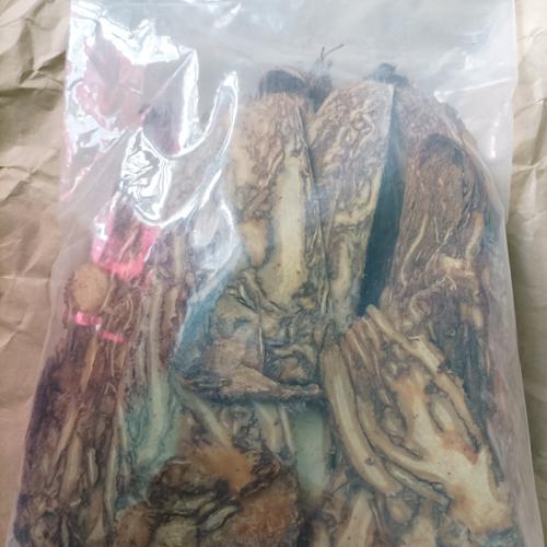 Jual 600 GR GRAM QUAN DANG GUI PIAN TONG KUI TANGKUEI CHINESE ANGELICA ...