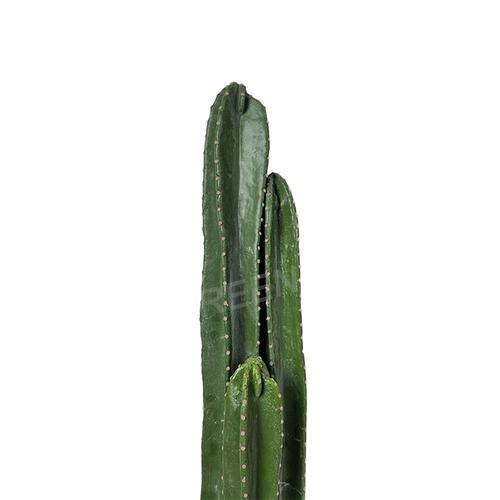 Promo DAUN HIAS/ DAUN PALSU/ POHON HIAS/ POHON CACTUS/ 105CM THE SILL ...