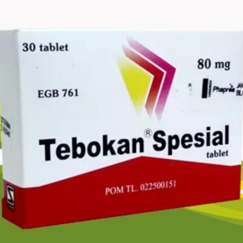 Jual TEBOKAN SPESIAL 80 mg BOX isi 30 / Ginkgo Biloba / Syaraf Daya ...