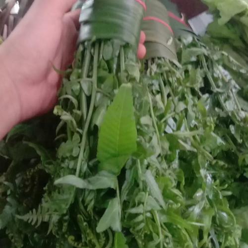 Jual Sayur Daun Pakis Segar Fresh 1 ikat - Kota Tangerang Selatan ...
